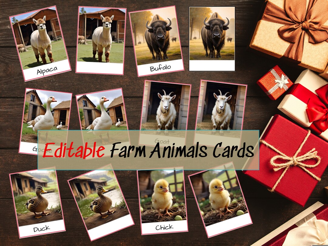Farm Animals Cards, Montessori Flash Cards, Pre-school Cards, Rainbow ...