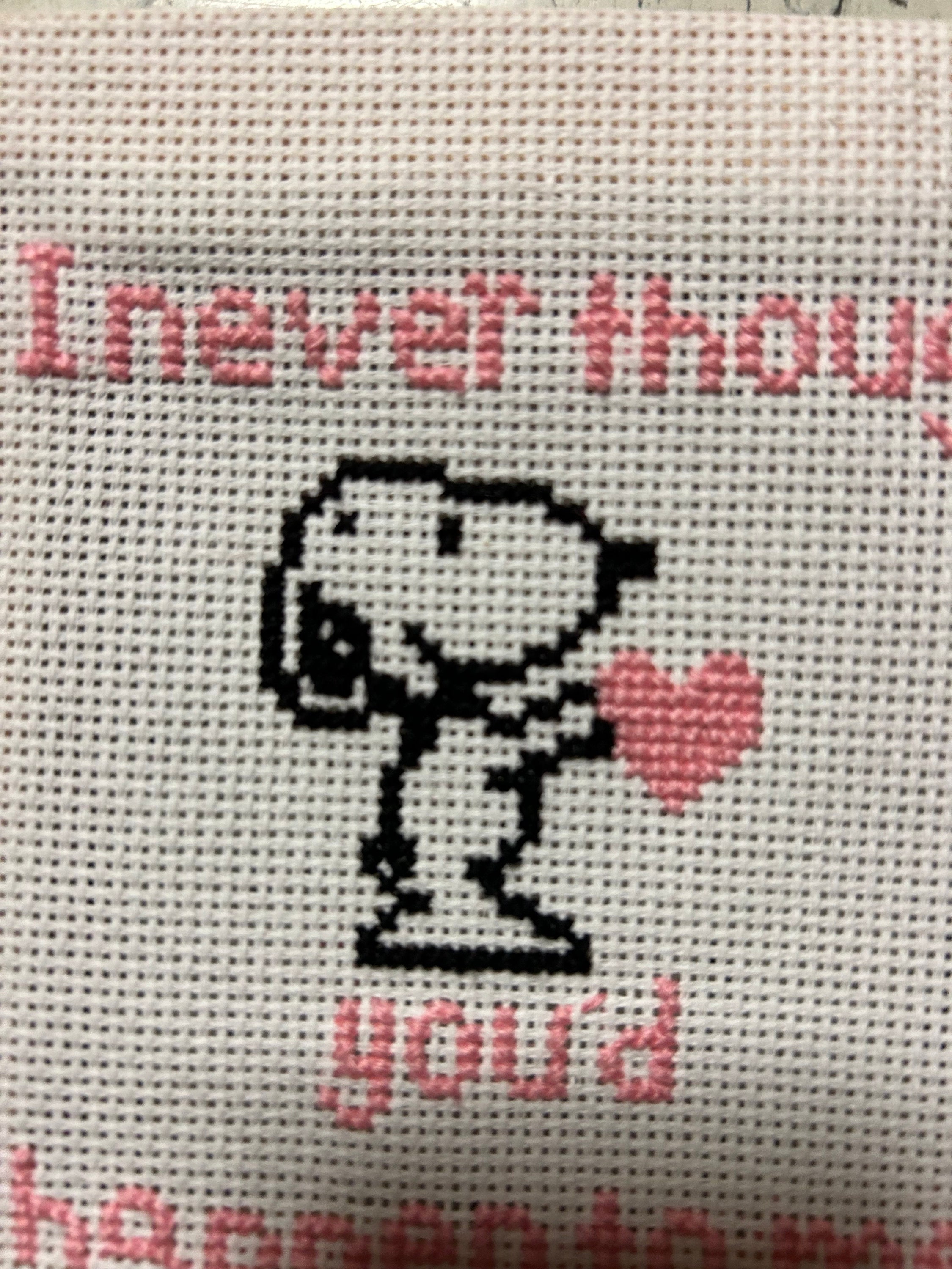 Boygenius Snoopy Valentine Cross Stitch - Etsy