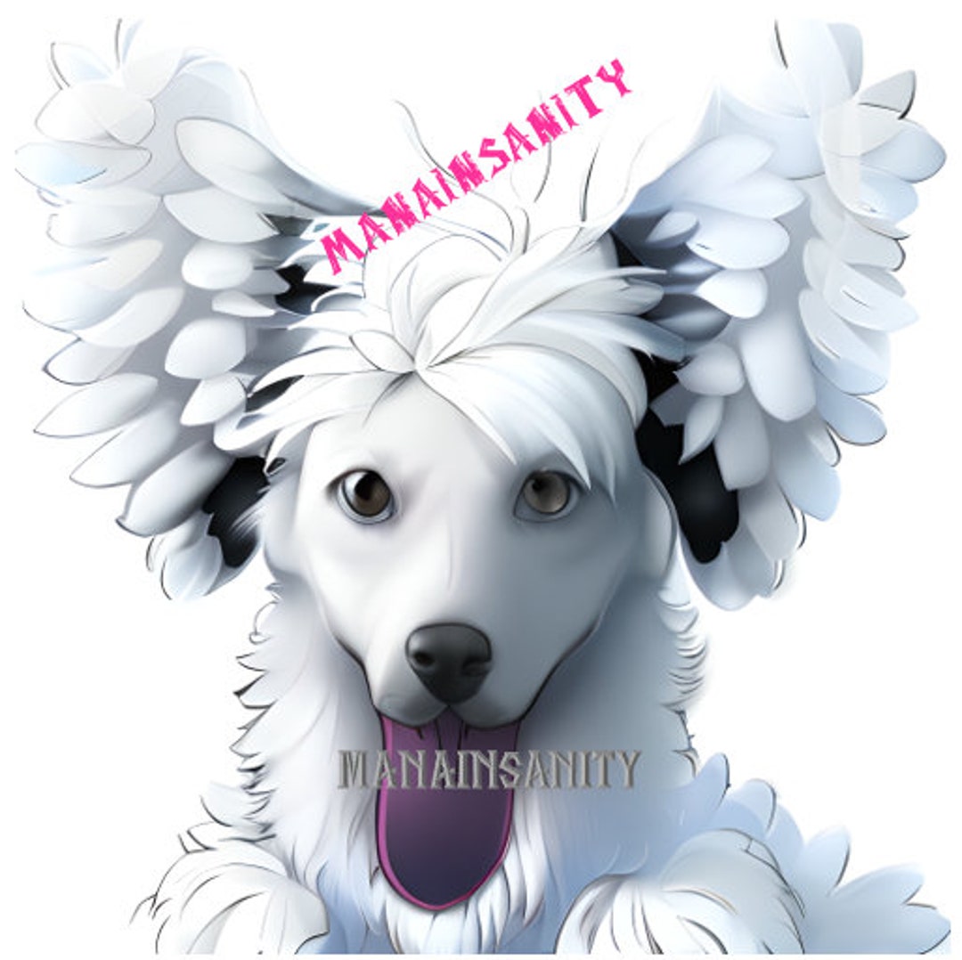 Goofy White Dog With Feathers - Etsy