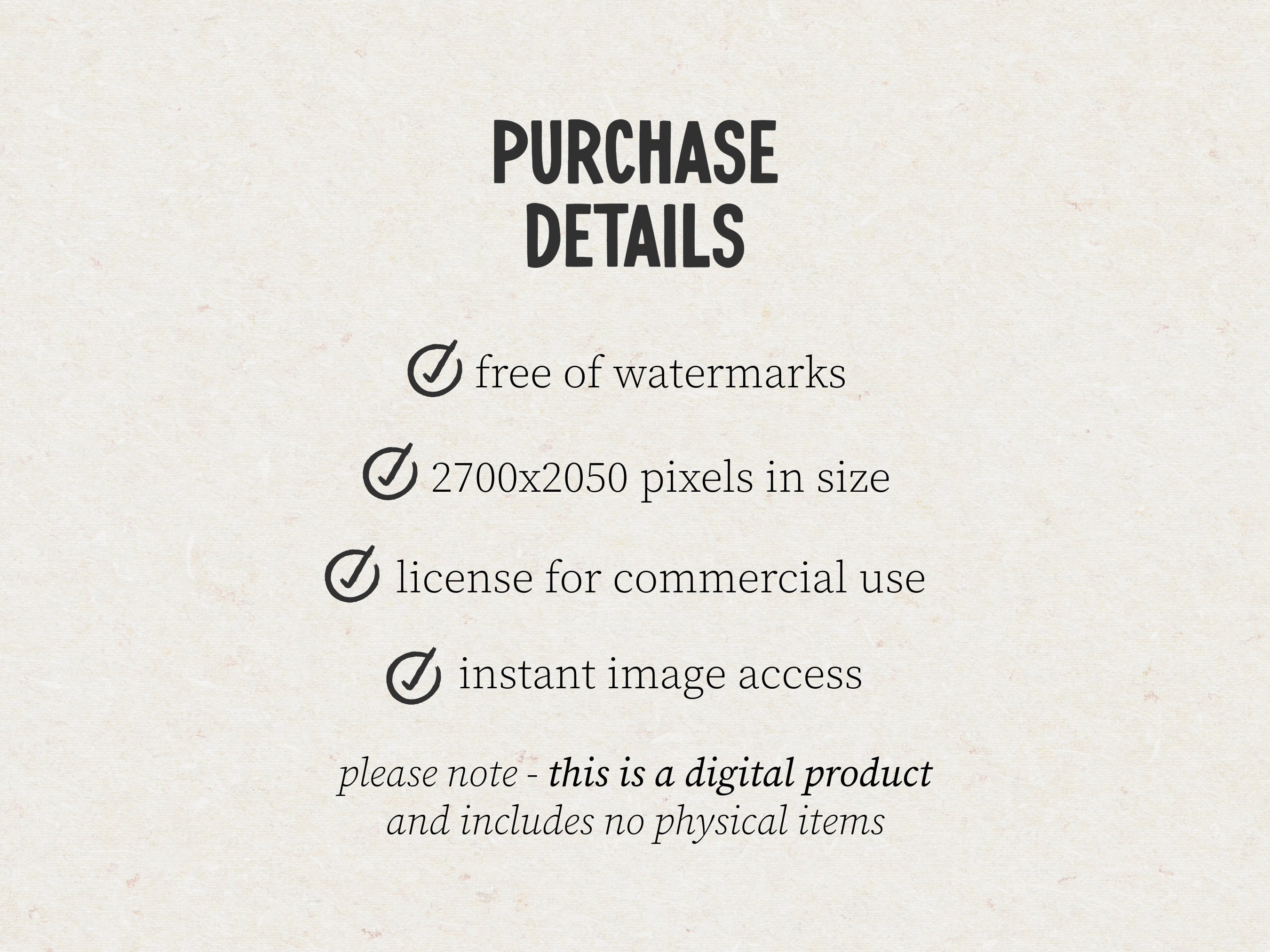 Bella Canvas 3001 Size Chart BC3001 Sizing Guide Plus Size Inclusive ...