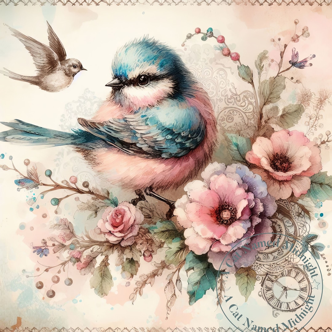 Shabby Chic Birds Vintage Style Clipart 12 Images Watercolor Bird ...