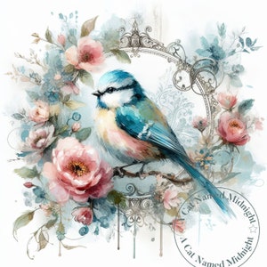 Shabby Chic Birds Vintage Style Clipart 12 JPG Images Watercolor Bird ...