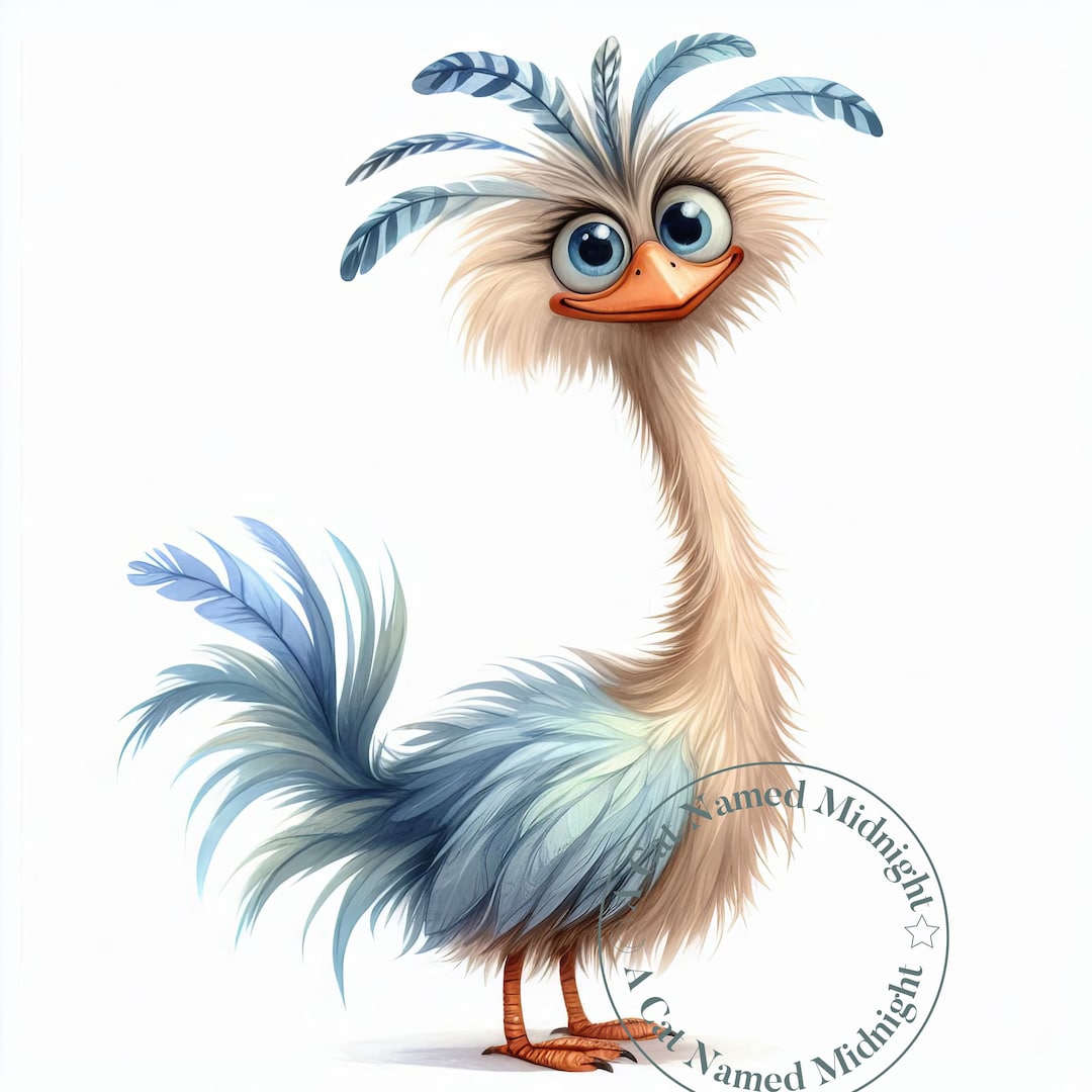 12 Quirky Funny Bird Clipart JPG Silly Goofy Birds Clip Art Bundle ...