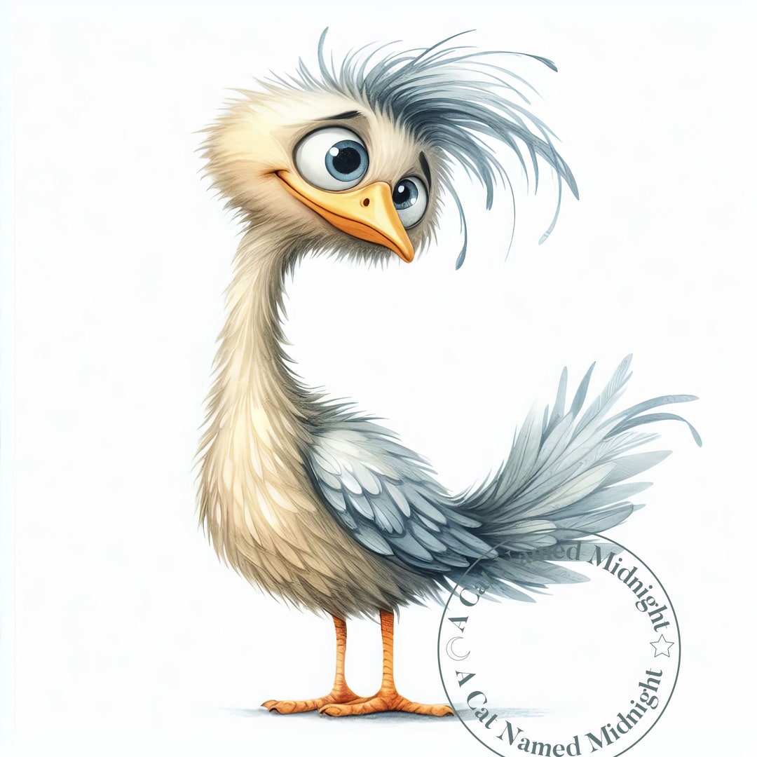 13 Quirky Funny Bird Clipart JPG Silly Goofy Birds Clip Art Bundle ...