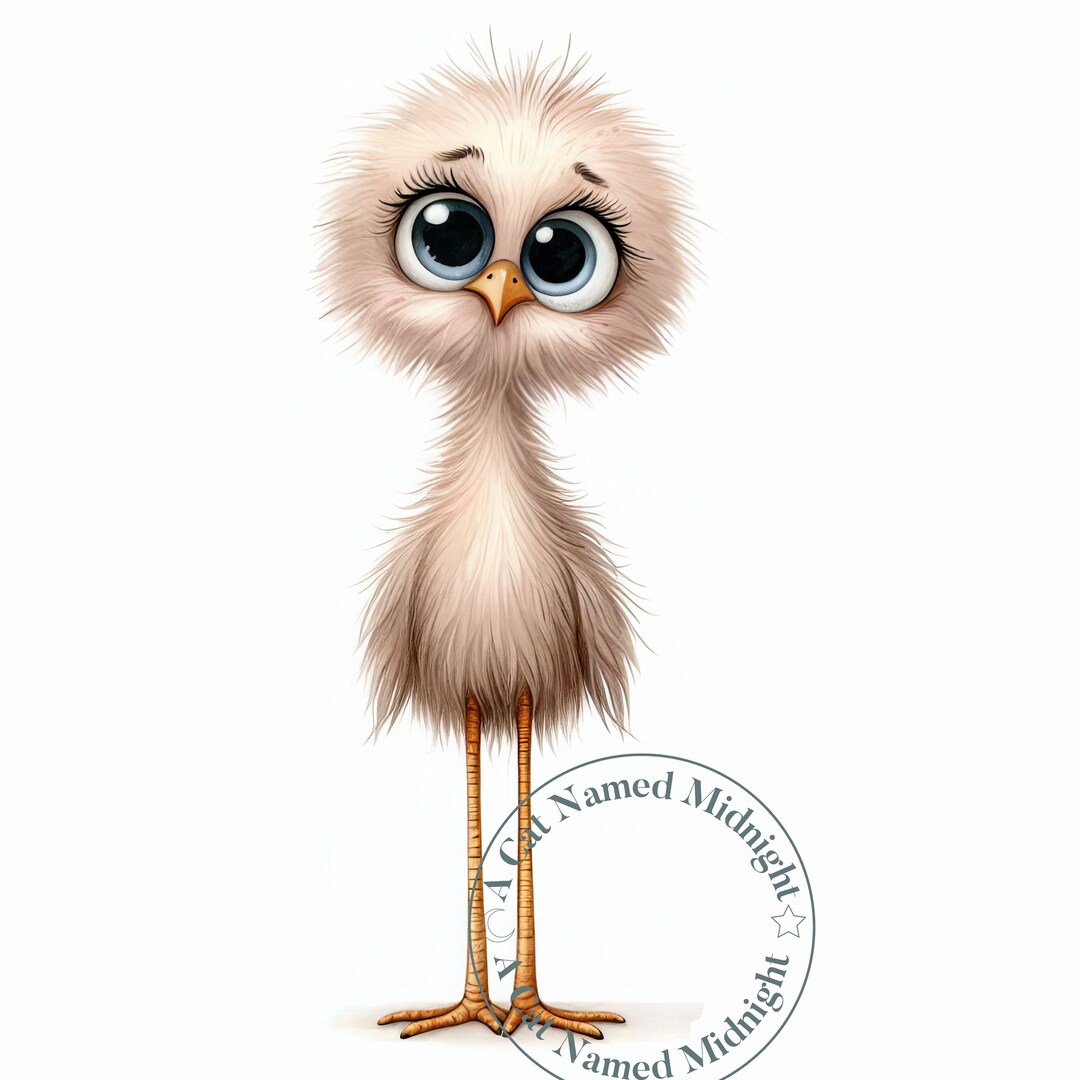 13 Quirky Funny Bird Clipart JPG Silly Goofy Birds Clip Art Bundle ...
