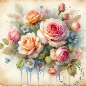 10 Shabby Chic Roses on Parchment Paper Clipart Shabby Chic Floral ...