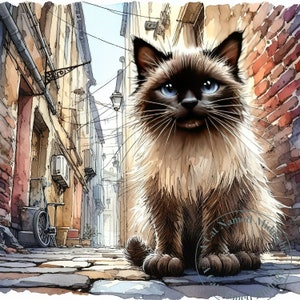 13 Alley Cat Paintings Cat Clip Art Images Bundle Watercolor Kitten ...