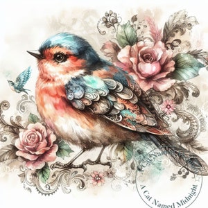 Shabby Chic Birds Vintage Style Clipart 12 JPG Images Watercolor Bird ...