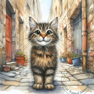 13 Alley Cat Paintings Cat Clip Art Images Bundle Watercolor Kitten ...