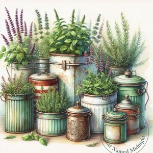 10 Herbs in Vintage Cans Clipart Shabby Chic Floral Watercolor Antique ...