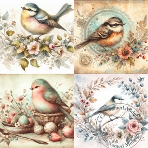Shabby Chic Birds Vintage Style Clipart 12 JPG Images Watercolor Bird ...