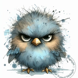 12 Quirky Grumpy Bird Clipart JPG Silly Goofy Birds Clip Art Bundle ...