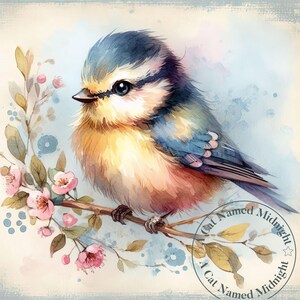 Shabby Chic Birds Vintage Style Clipart 10 JPG Images Watercolor Bird ...