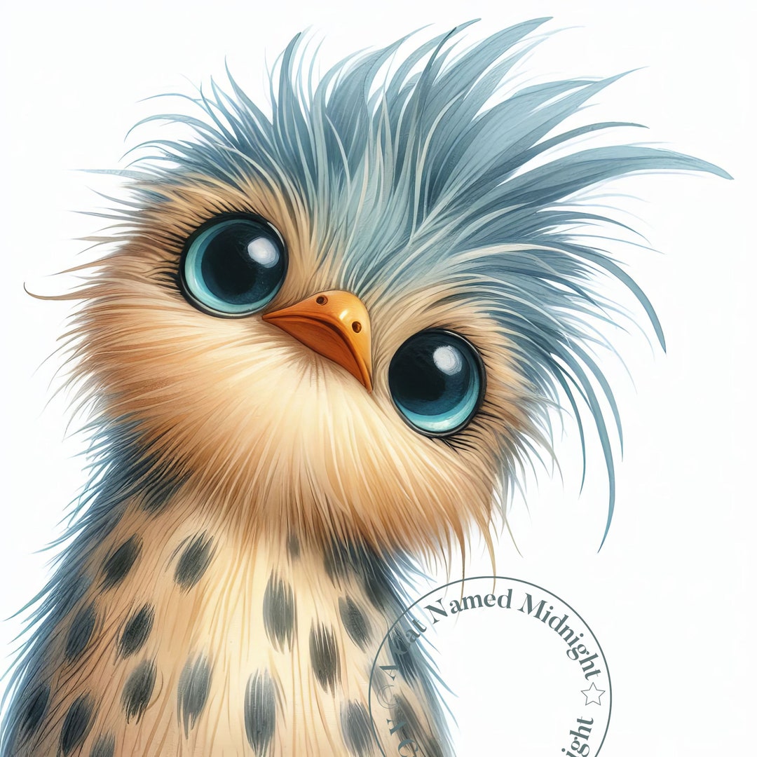 13 JPG Quirky Funny Bird Clipart Silly Goofy Birds Clip Art Bundle ...