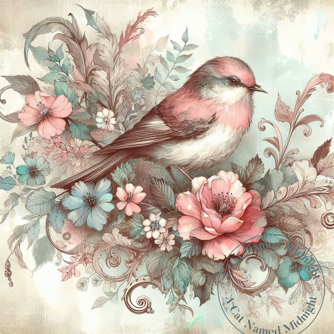 Shabby Chic Birds Vintage Style Clipart 11 Images Watercolor Bird ...