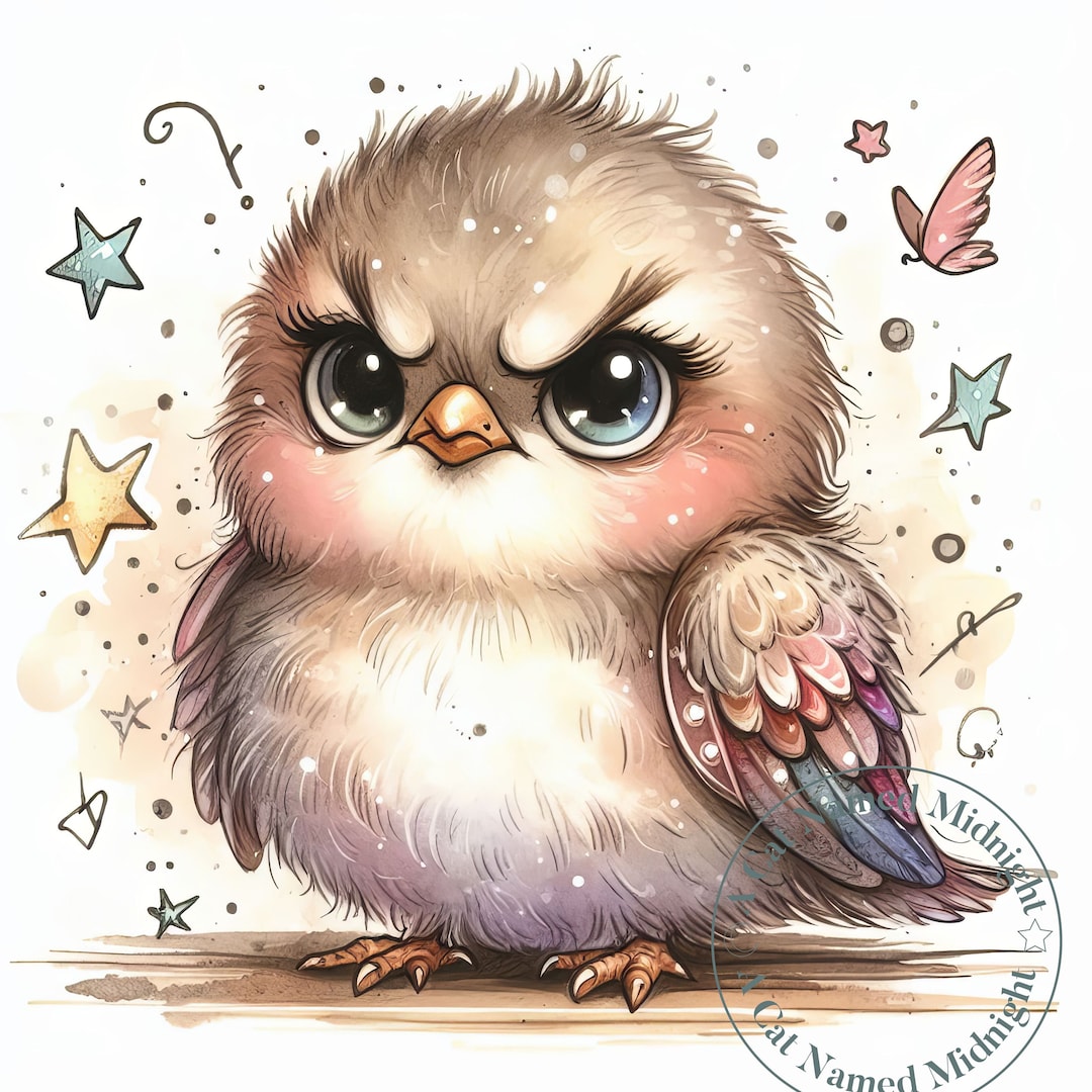 12 Quirky Grumpy Bird Clipart JPG Silly Goofy Birds Clip Art Bundle ...