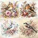 Shabby Chic Birds Vintage Style Clipart 11 Images Watercolor Bird ...