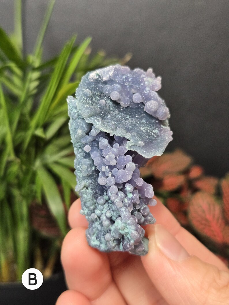 Green Grape Agate Clusters (5 Options - You Choose!) - Natural Mineral ...