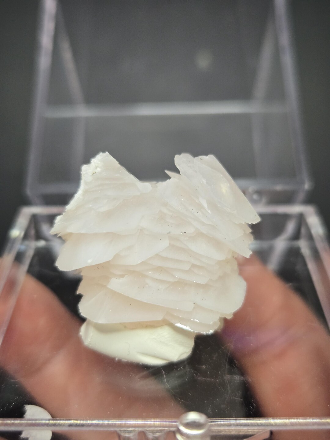 White Petal Calcite - XHL Petal Calcite - Natural Mineral Crystal ...