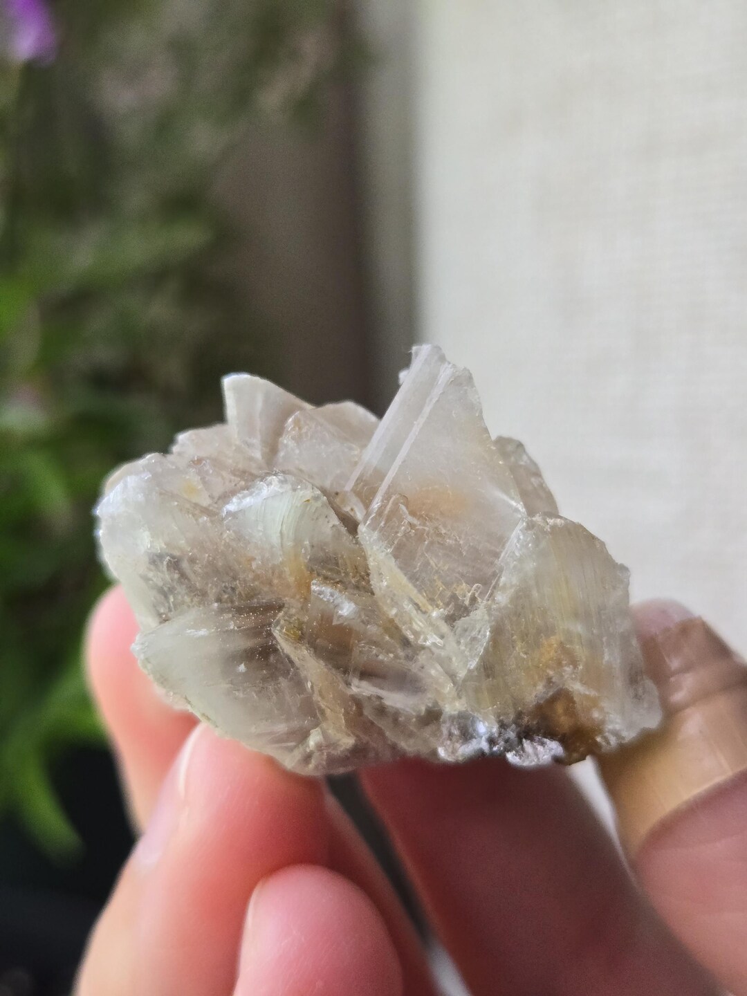 Terminated Selenite (2 Options - You Choose!) - Selenite From Guizhou ...
