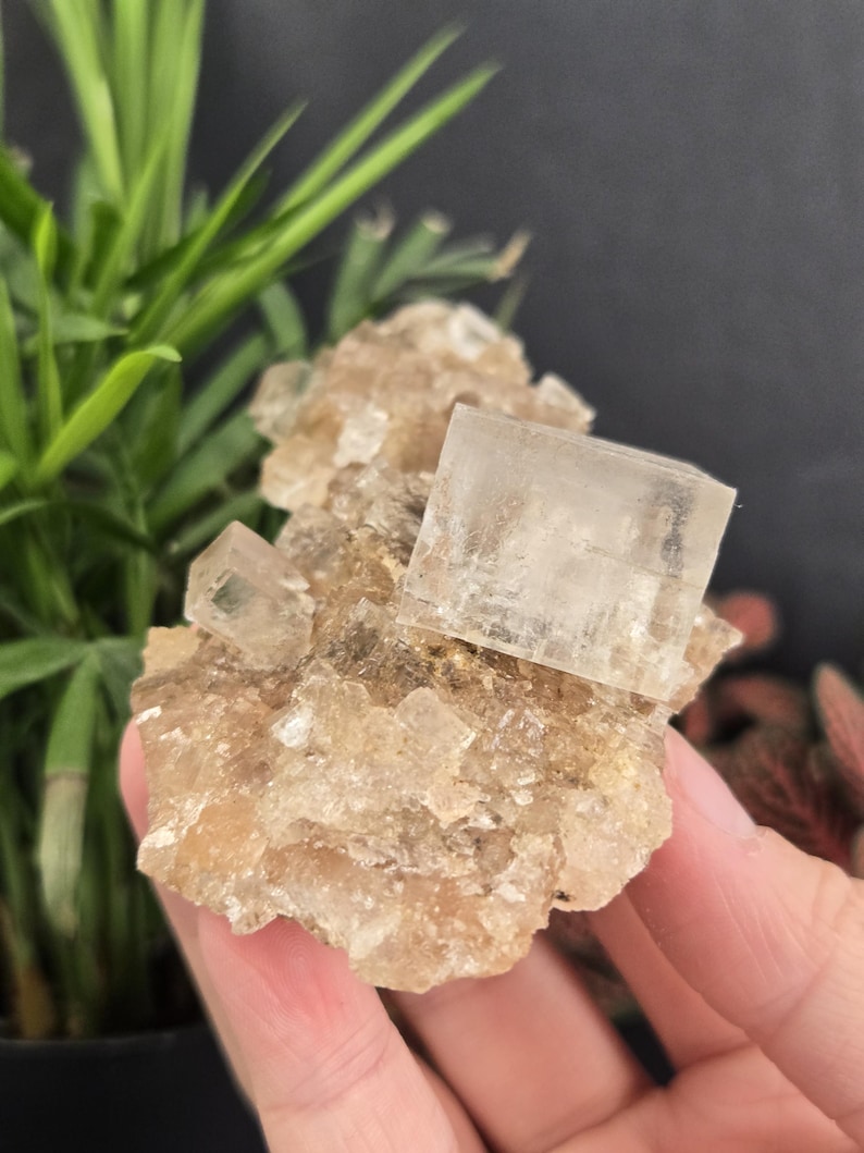 White Halite - Morroco - 2025 Find - Natural Mineral Crystal Specimen ...