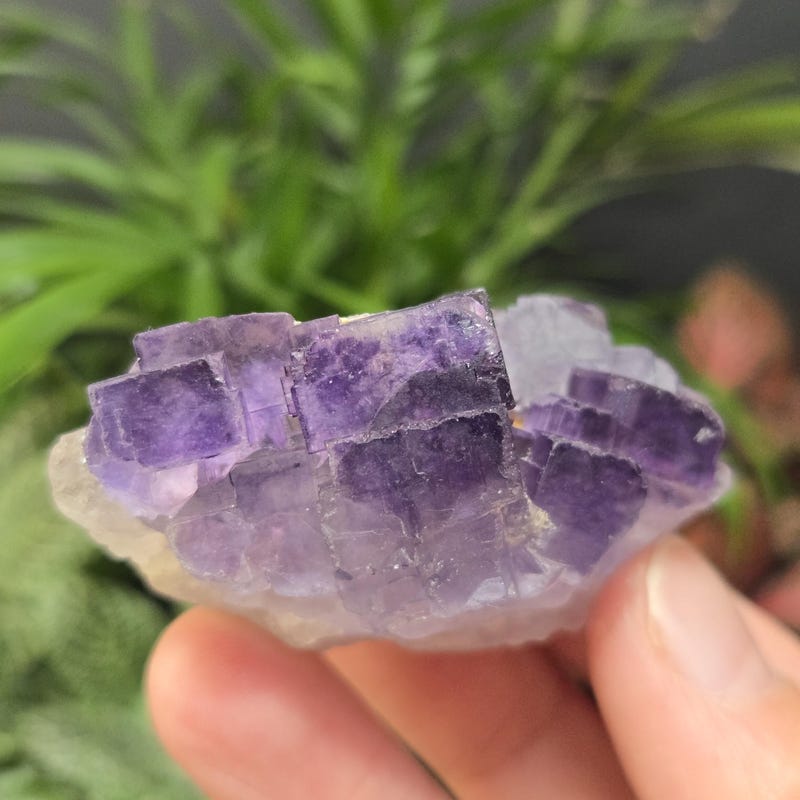 Purple Matrix Fluorite - Etsy