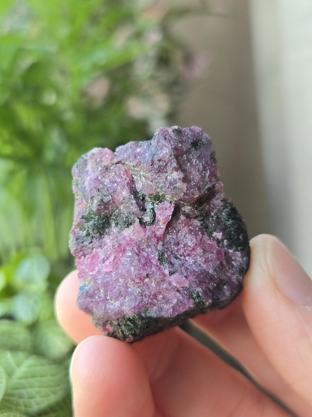 Raw Ruby in Black Biotite Natural Mineral Crystal Specimen - Etsy