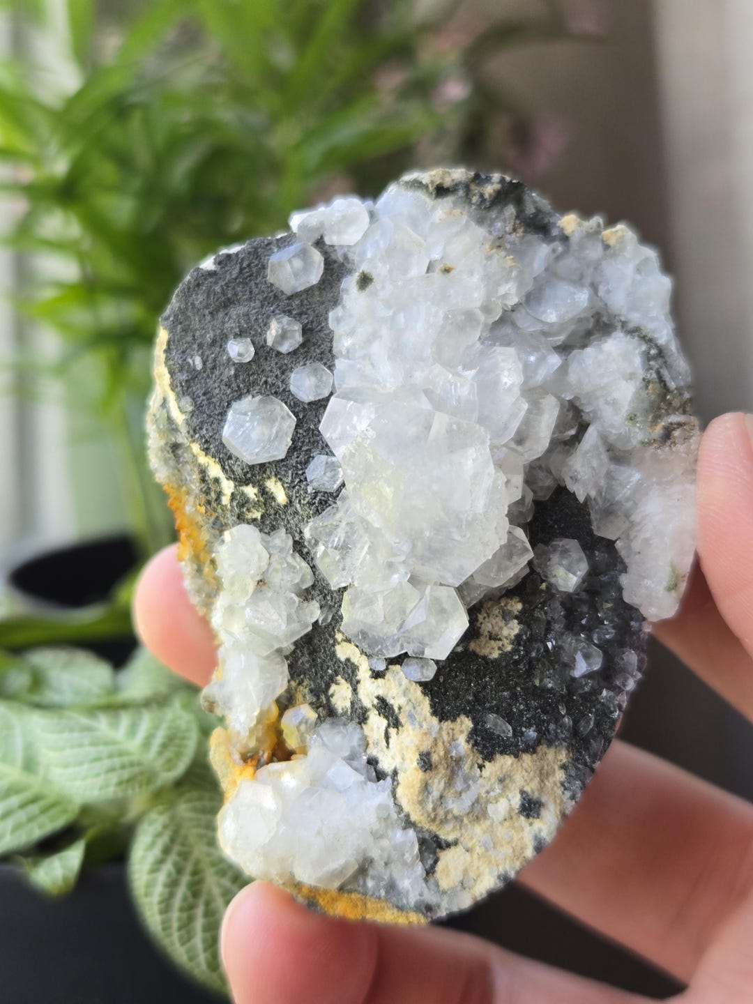 Multiple Benz Calcite on Matrix Mineral Crystal Specimens (2 Options ...