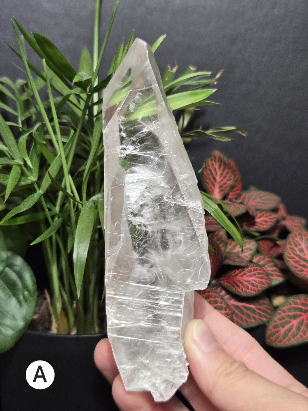Terminated Selenite (4 Options - You Choose!) - La Platosa Selenite ...