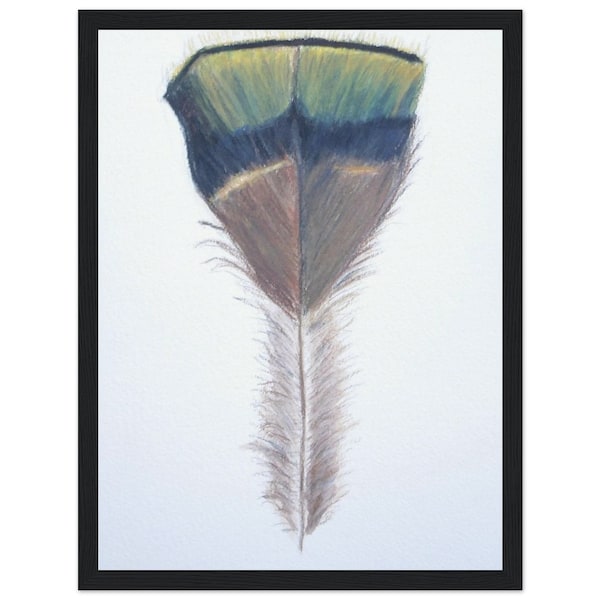 Turkey Feather Wall Art - Etsy