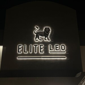 Car Dealer Beauty Salon Nail Salon Custom 3D Channel Letters Sign LED ...