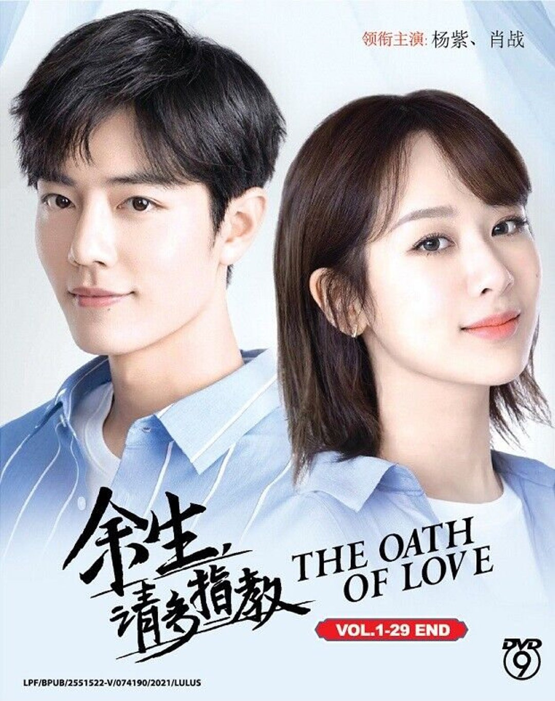DVD Chinese Drama the Oath of Love 余生请多指教 1-29 End English - Etsy