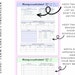 Charge Nurse Report Sheet, LVN Nursing Documentation, LPN Charting ...