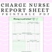 Charge Nurse Report Sheet, LVN Nursing Documentation, LPN Charting ...