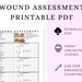 Wound Assessment Printable PDF, Wound Care Documentation, Wound Nurse ...