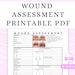 Wound Assessment Printable PDF, Wound Care Documentation, Wound Nurse ...