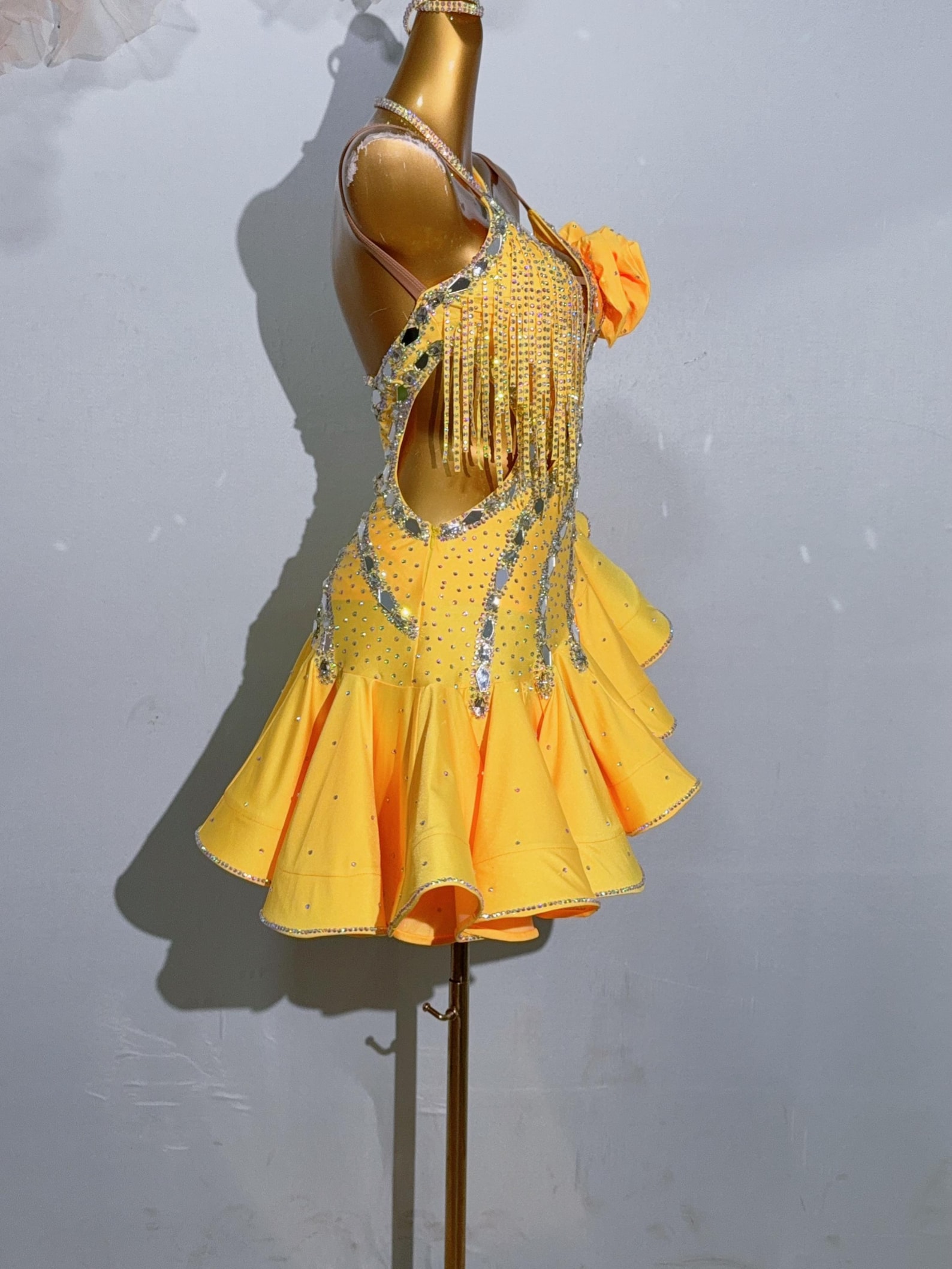 Custom Made Latin Dress 40 Colors Women Girls Fringe Latin Dance ...