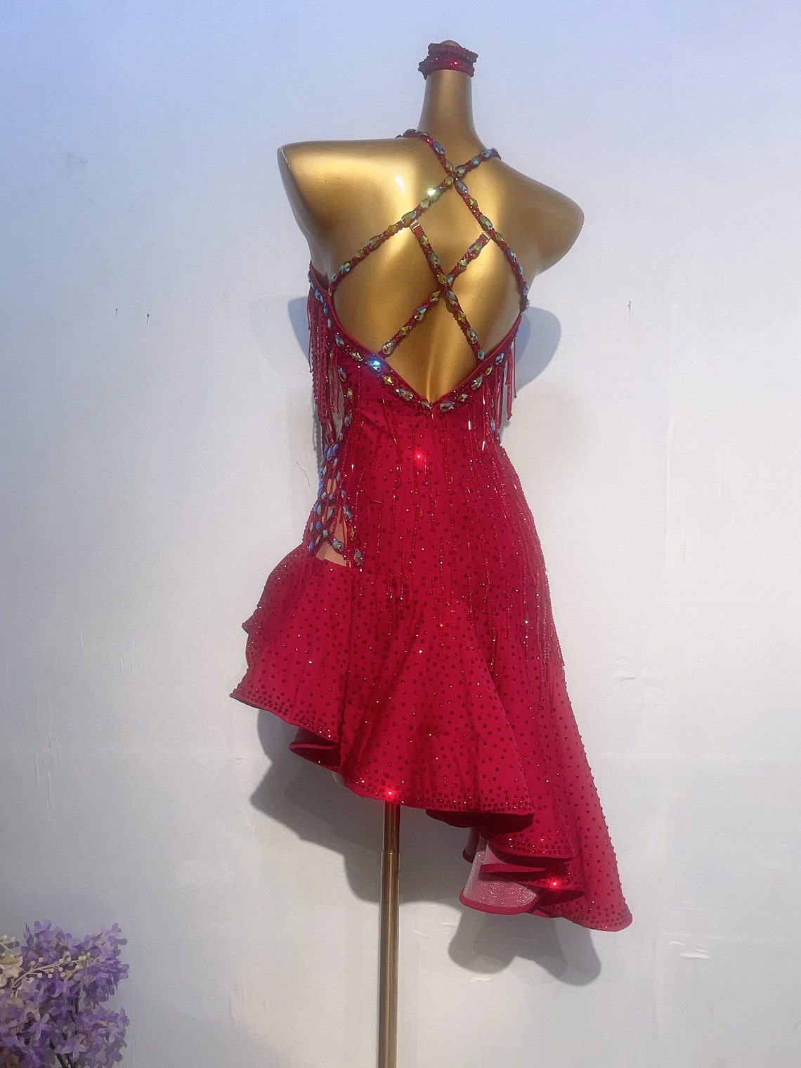 Custom Made Latin Dress 40 Colors Women Girls Fringe Latin Dance ...
