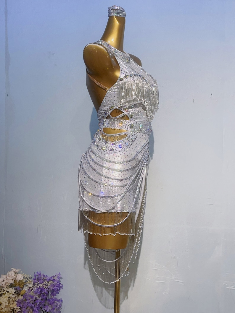 Custom Made Latin Dress 40 Colors Women Fringe Latin Dance Competition ...