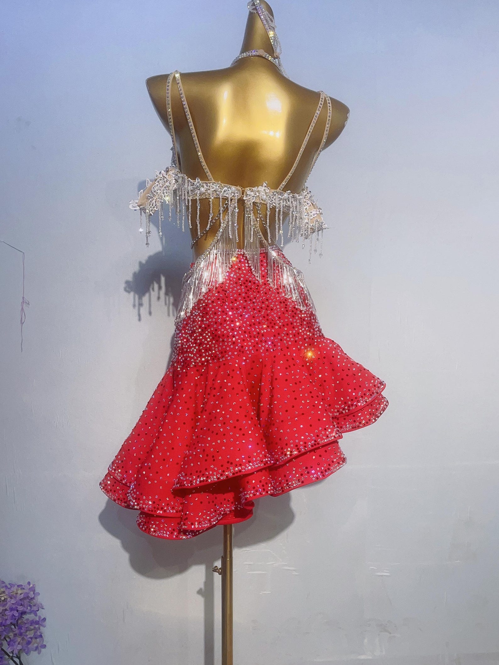 Custom Made Latin Dress 40 Colors Women Girls Fringe Latin Dance ...