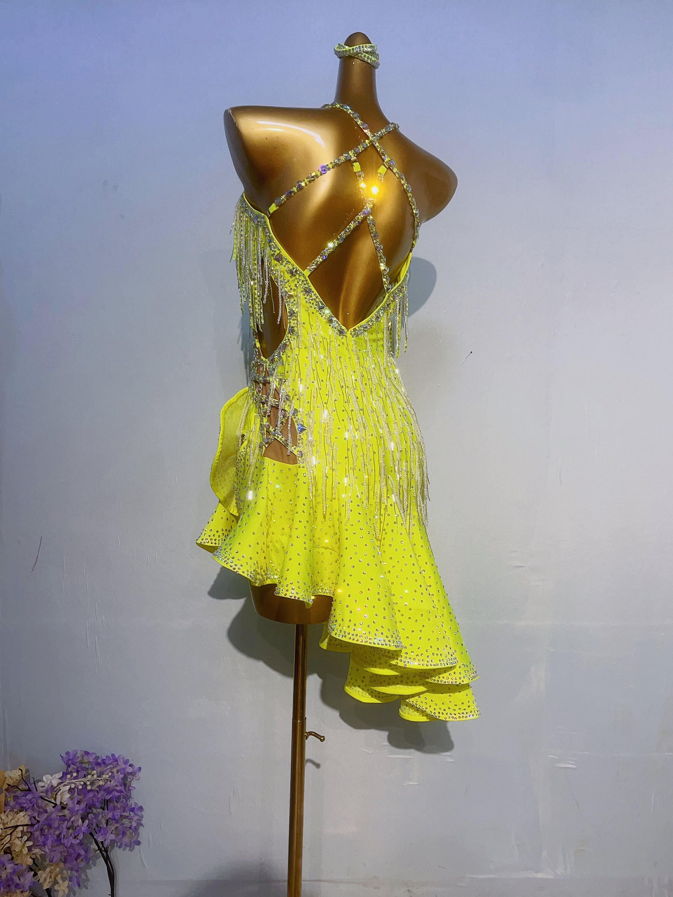 Custom Made Latin Dress 40 Colors Women Girls Fringe Dance Competition ...