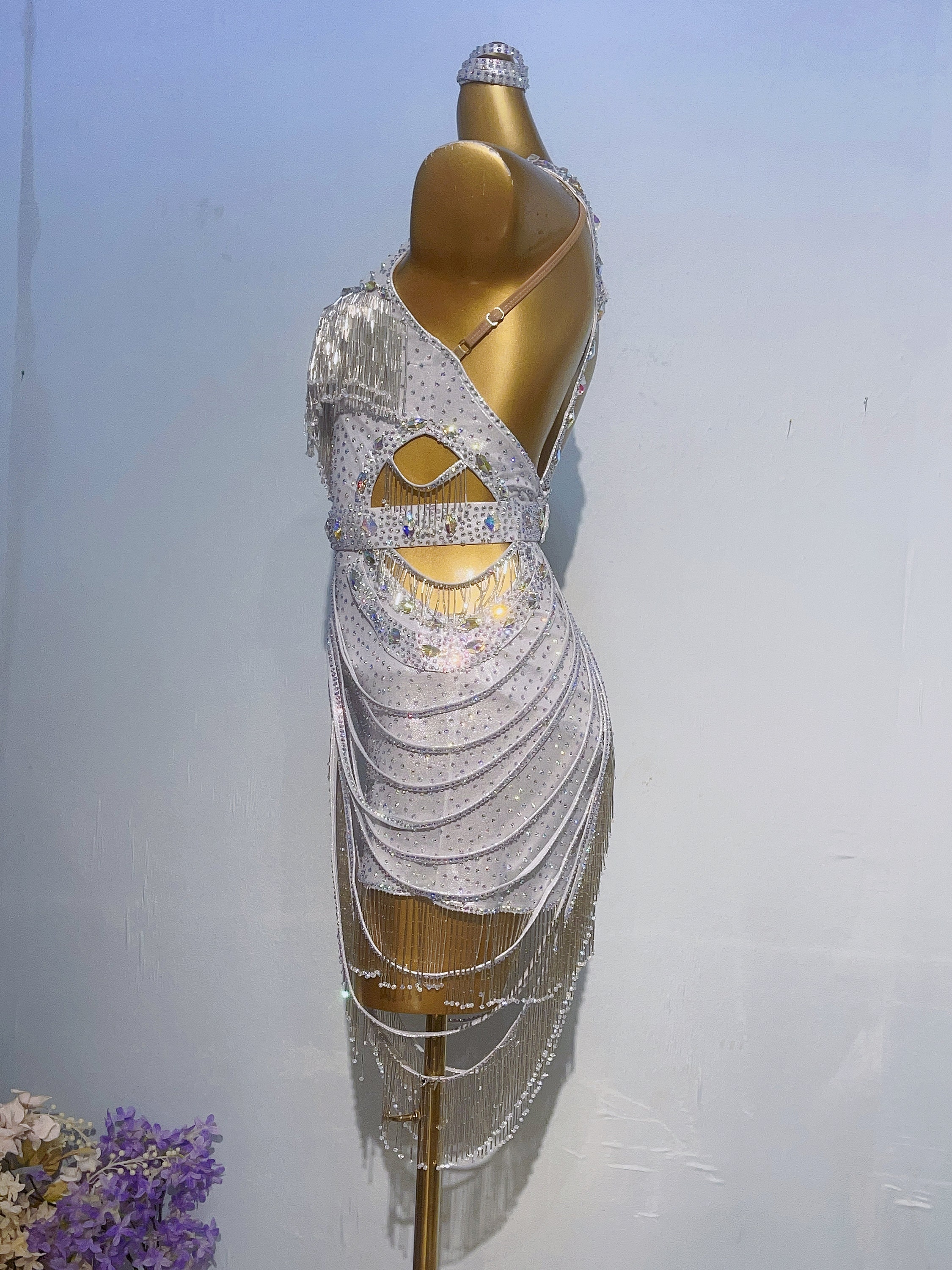 Custom Made Latin Dress 40 Colors Women Fringe Latin Dance Competition ...