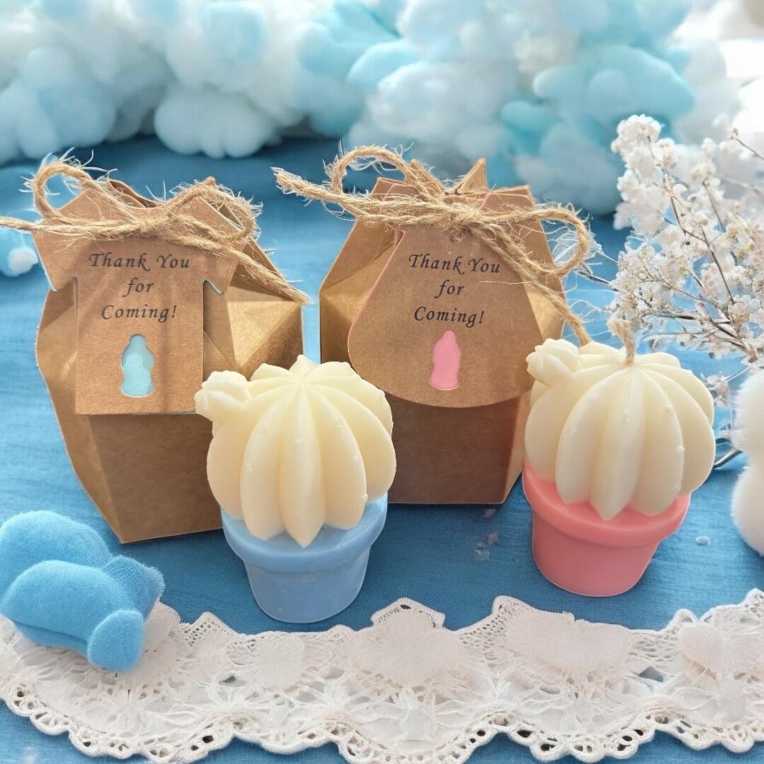 Baby Shower Favors: Mini Cactus Soy Candle Gifts, Baby Boy & Girl, 1pc ...