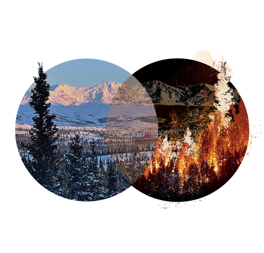 Climate Change Print - Etsy