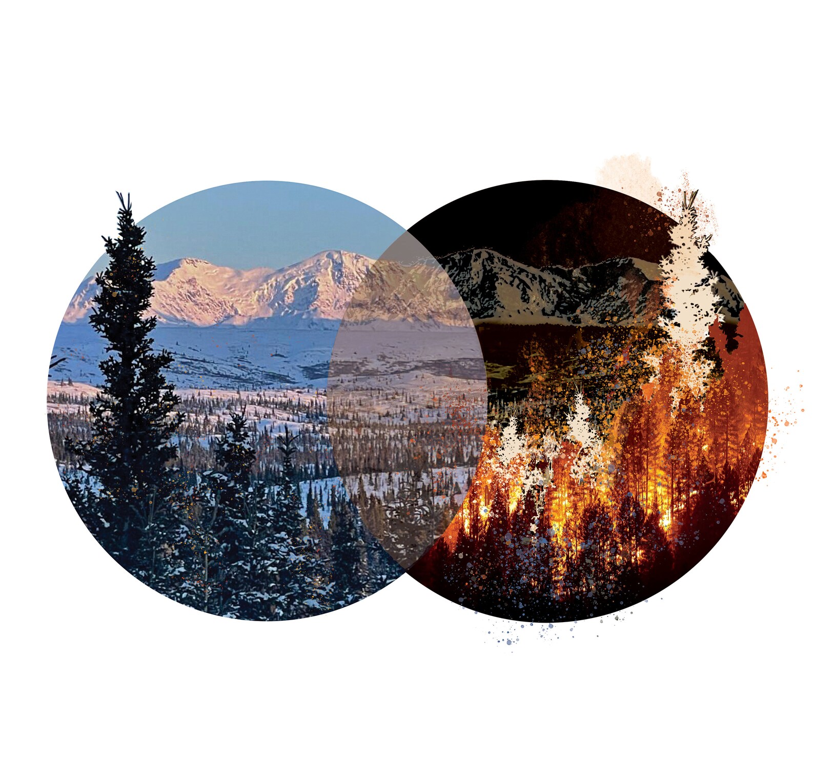 Colonialism Caused Climate Change - Print of Digital Collage - Etsy