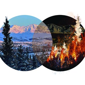 Colonialism Caused Climate Change - Print of Digital Collage - Etsy