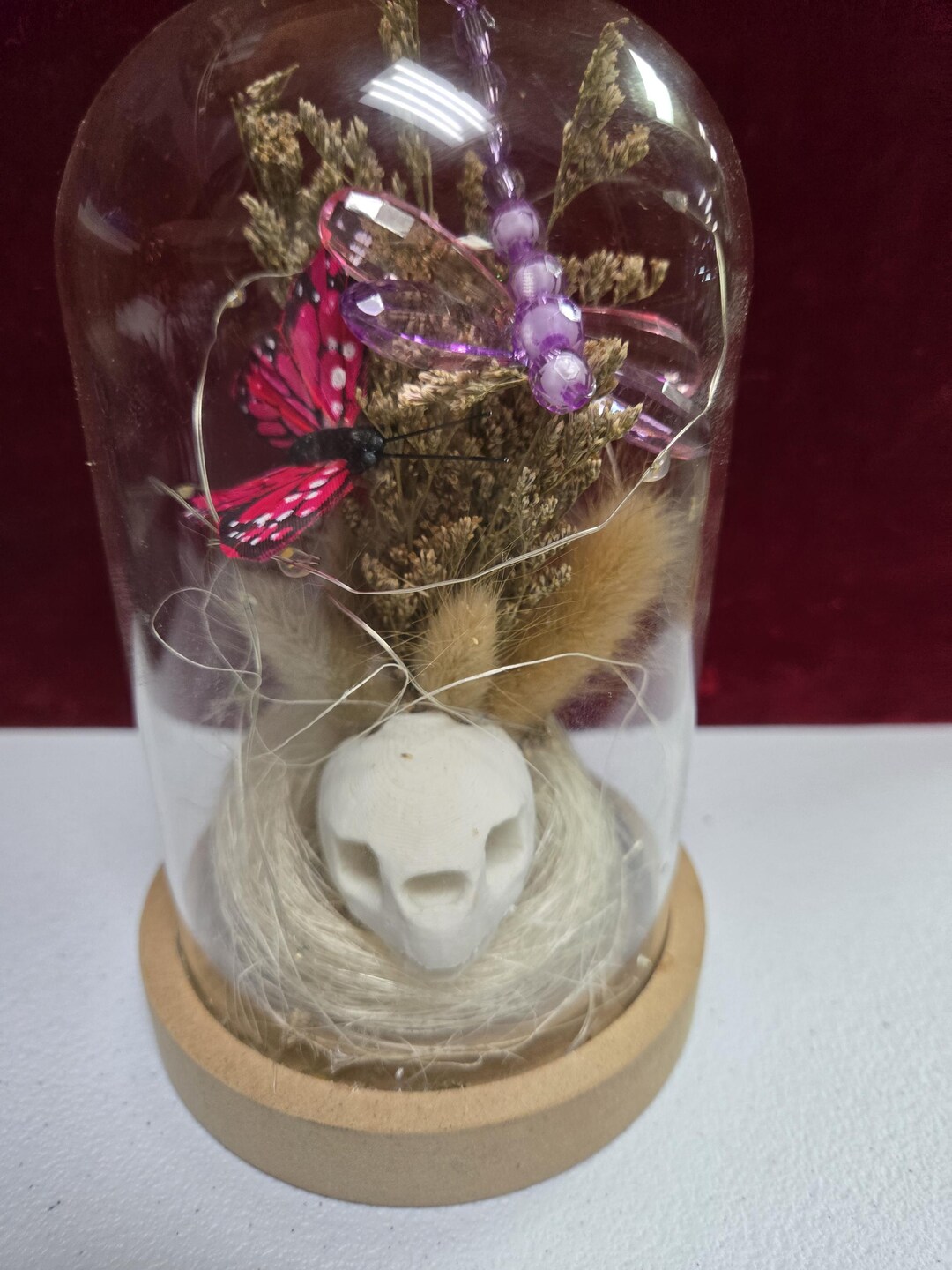 3d Printed Turtle Skull Oddities Cloche - Etsy