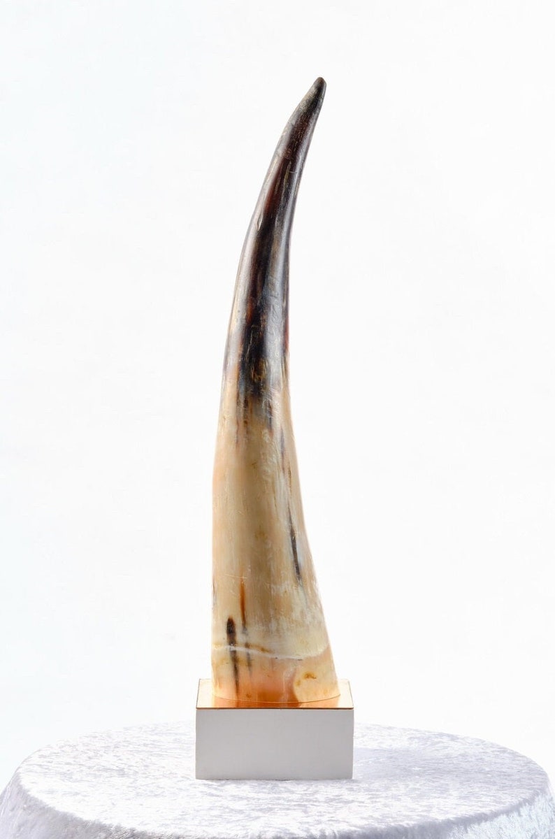 Horn Design Sculpture - Etsy