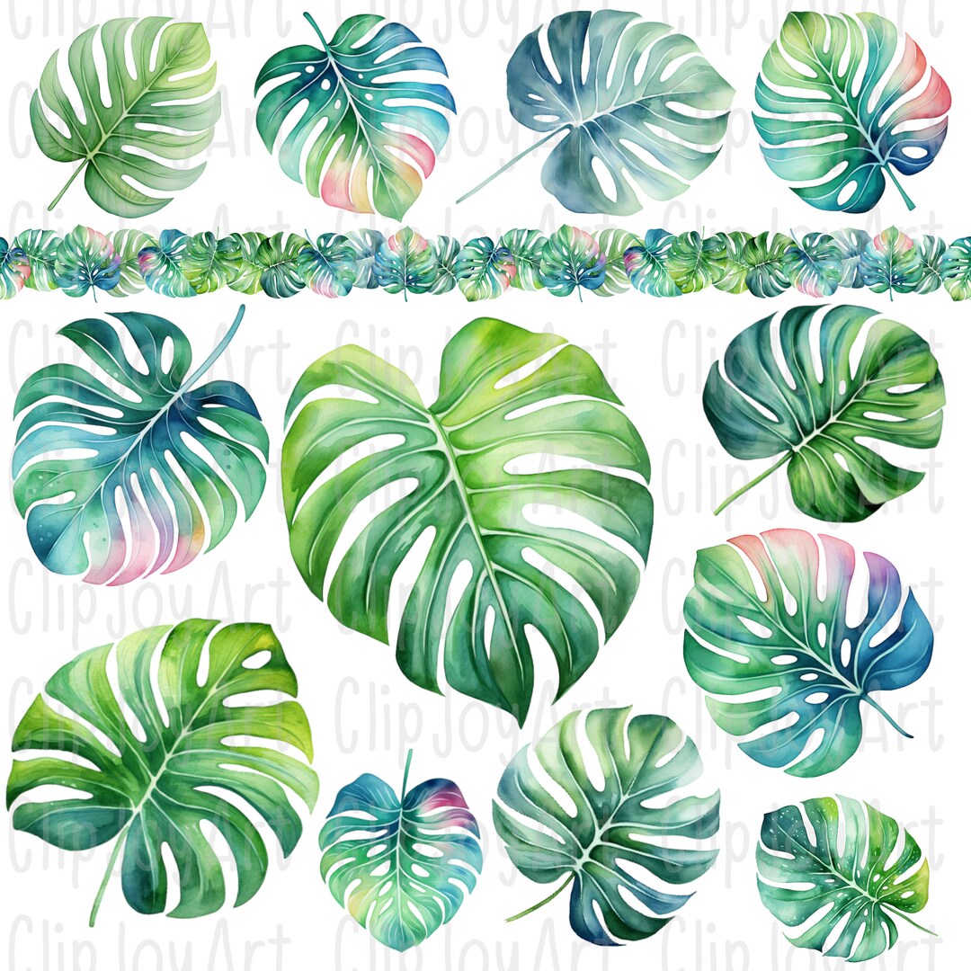 Clipjoyart Monstera Leaves Plants Watercolor Clip Art Transparent ...