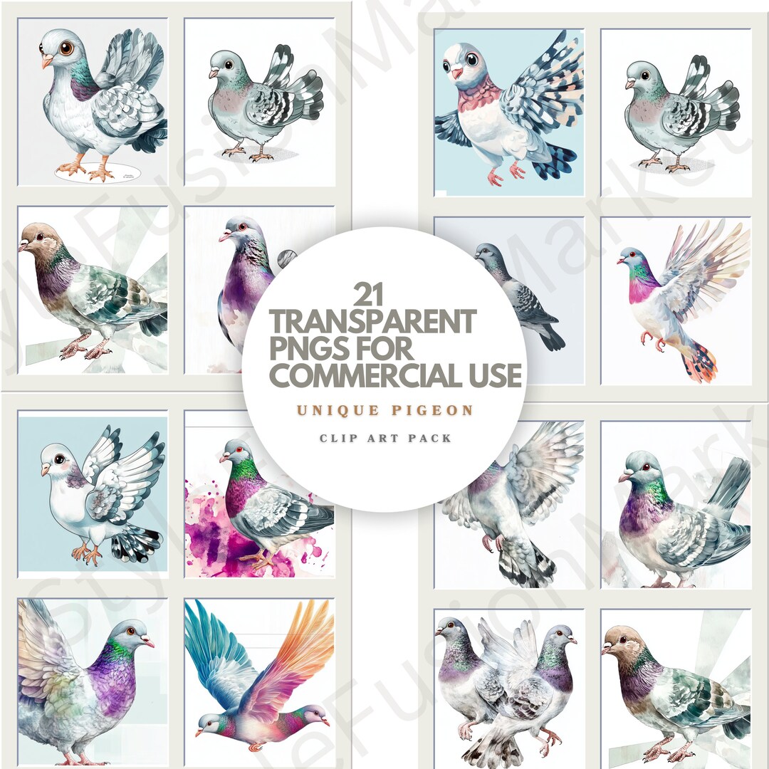 21 PNG Pigeon Species Watercolor Clipart | Watercolor Pigeon ...